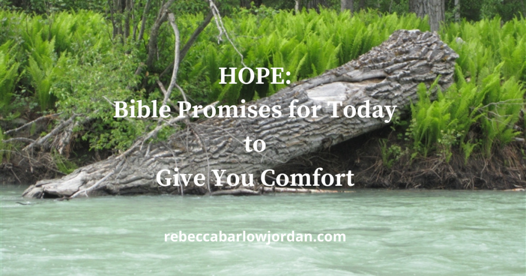 Hope Bible Promises For Today To Give You Comfort
